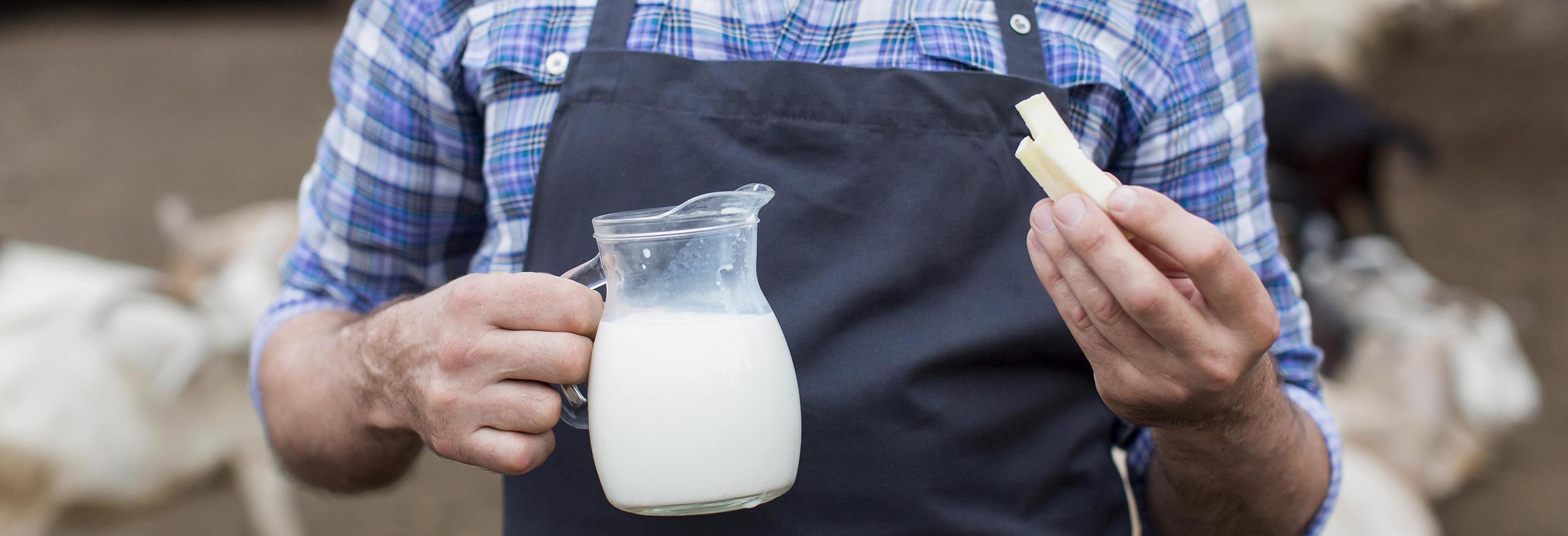 Dairy Insurance - ONE Insurance