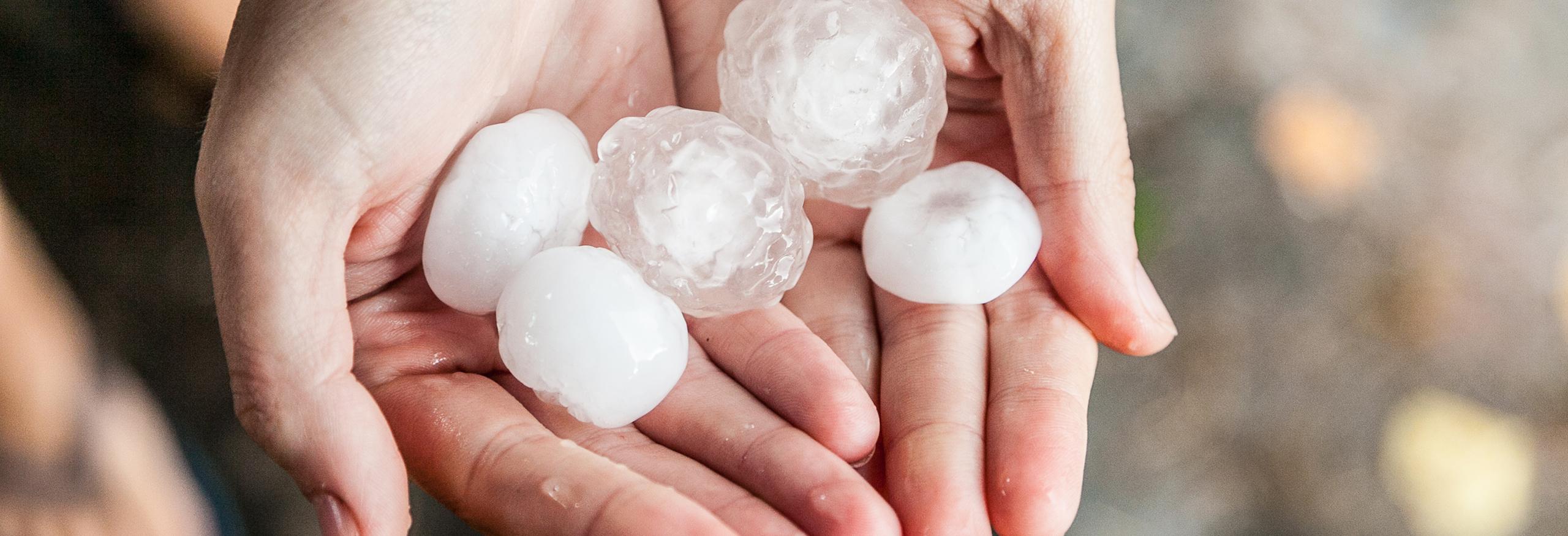 Hail Insurance - ONE Insurance